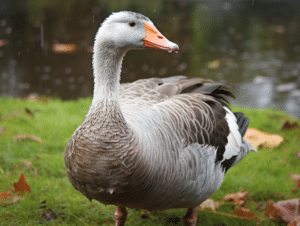 31 Examples of Animals that make Hissing Sounds (A to Z List with ...